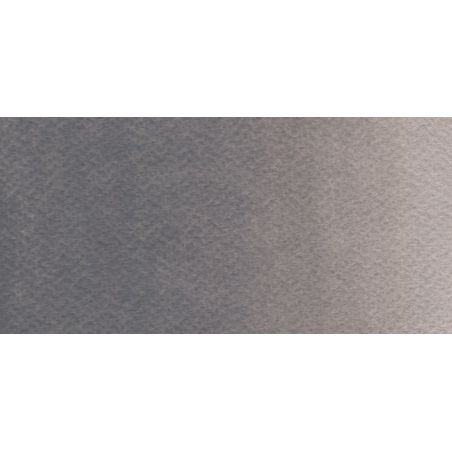 Gris chaud - Aquarelle Godet Rosa Gallery